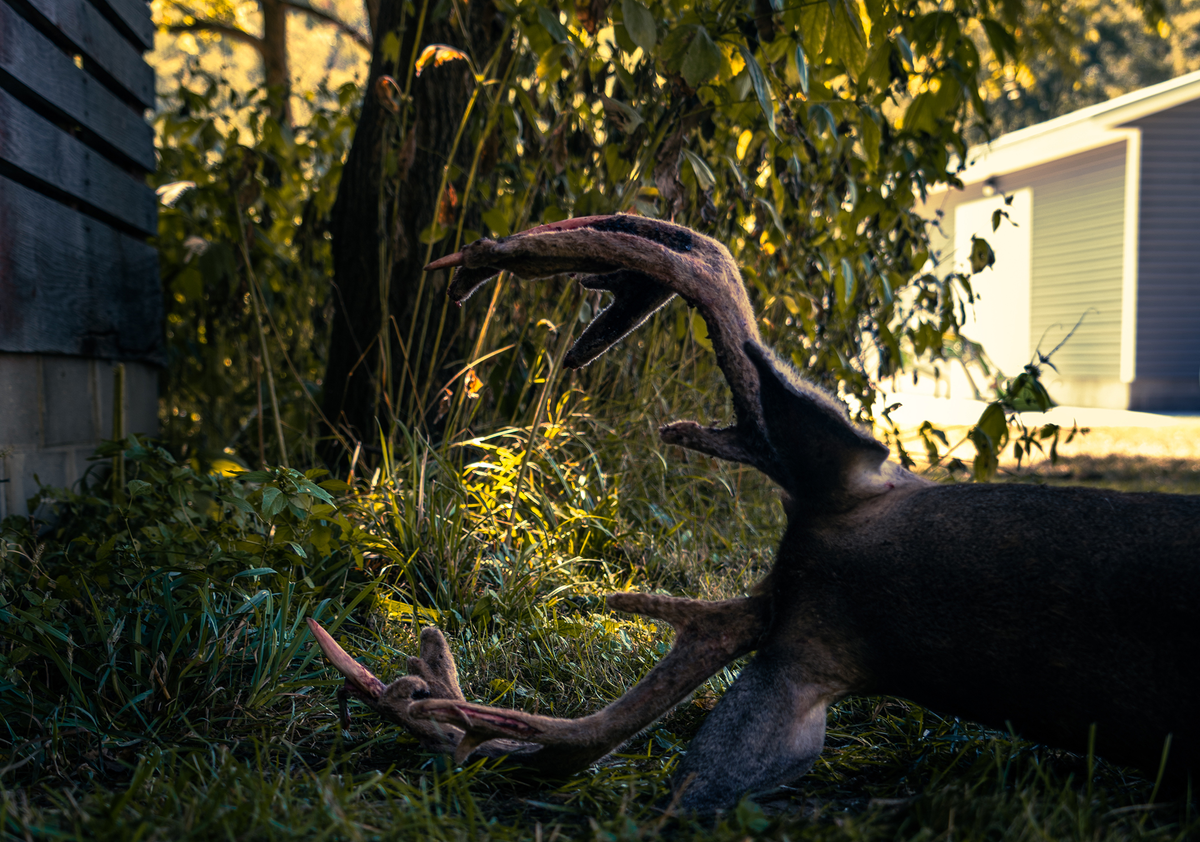 Hub Blind Shelf | Shop Hub Blind Accessories by Trick Outdoors